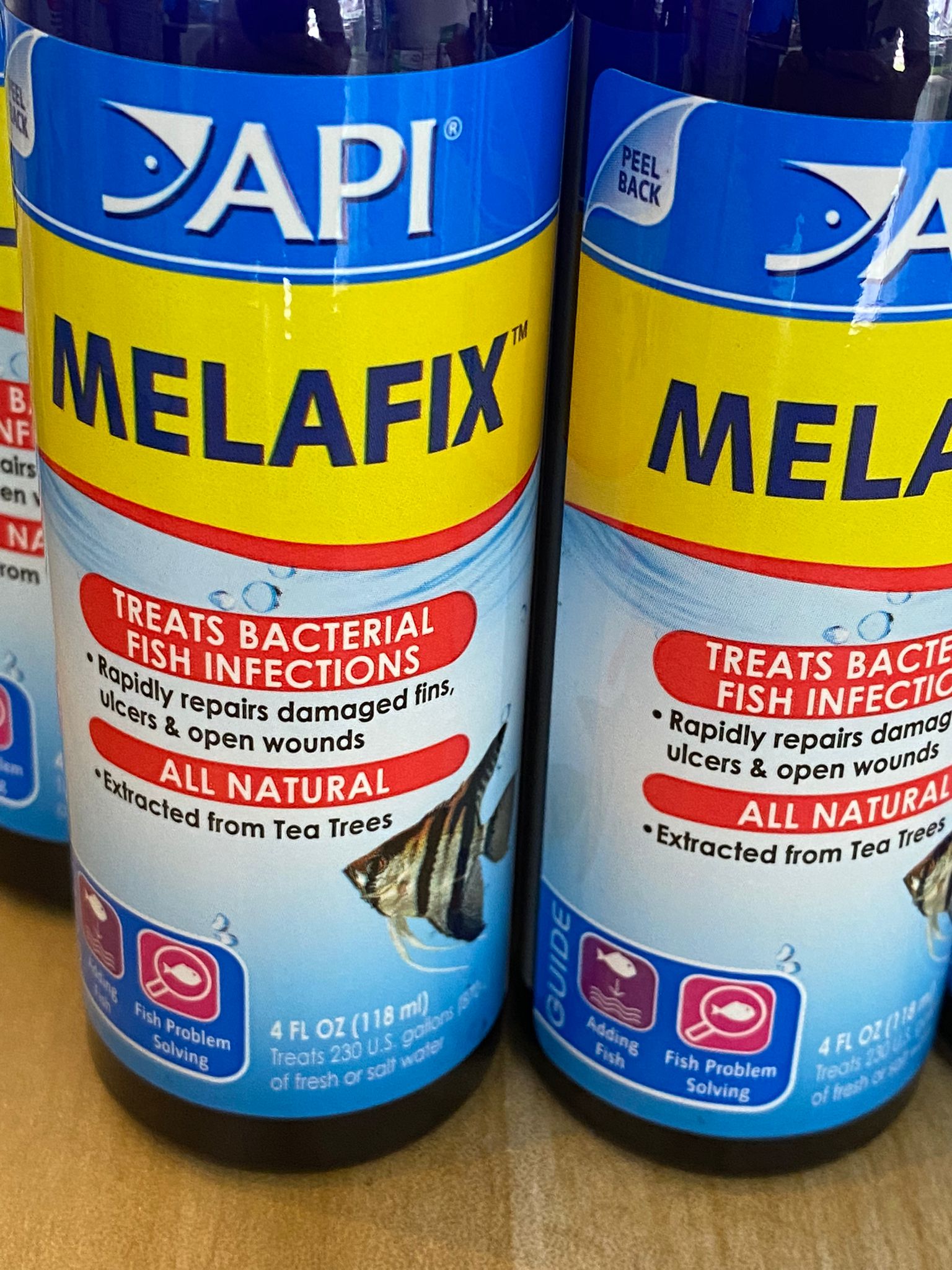 AngelHub Aquatics Boon Keng - API Melafix