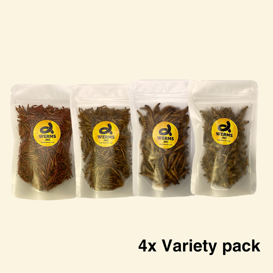 Werms Inc. Jurong - Dried Insect Variety Pack