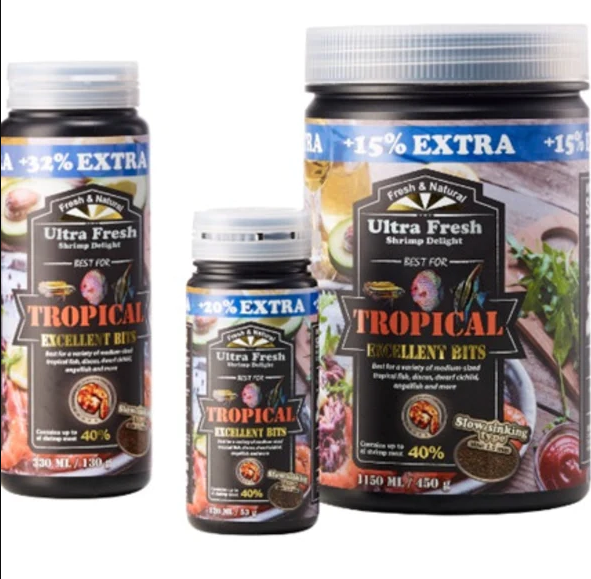 Iven Betta Bukit Timah Clementi - Azoo Tropical (Excellent Bits/Micro ...